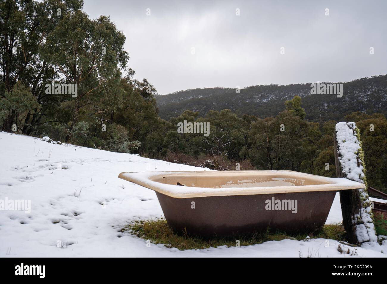 A closeup of an old bath water trough for animals on farm covered in ...
