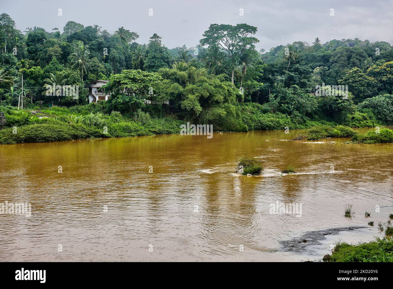 Mahaweli River (Great Sandy River) in Polgolla, Sri Lanka, on September ...