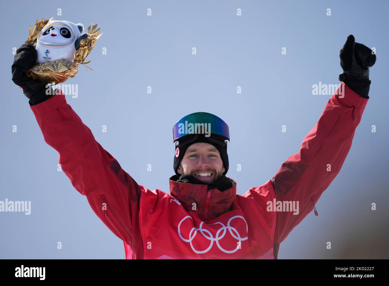 Maxtparrot phtos hi-res stock photography and images - Alamy