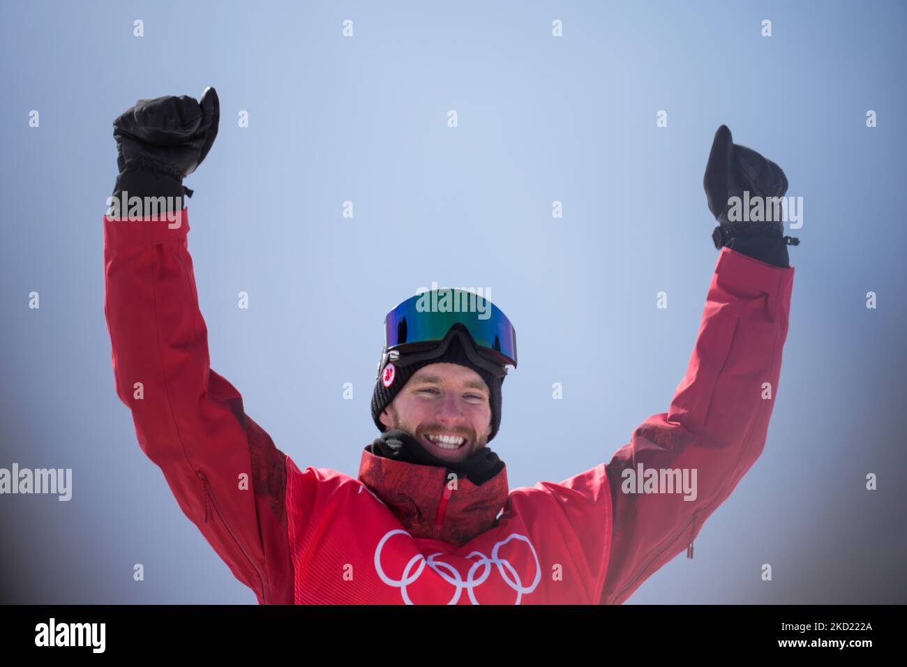 Maxtparrot hi-res stock photography and images - Alamy