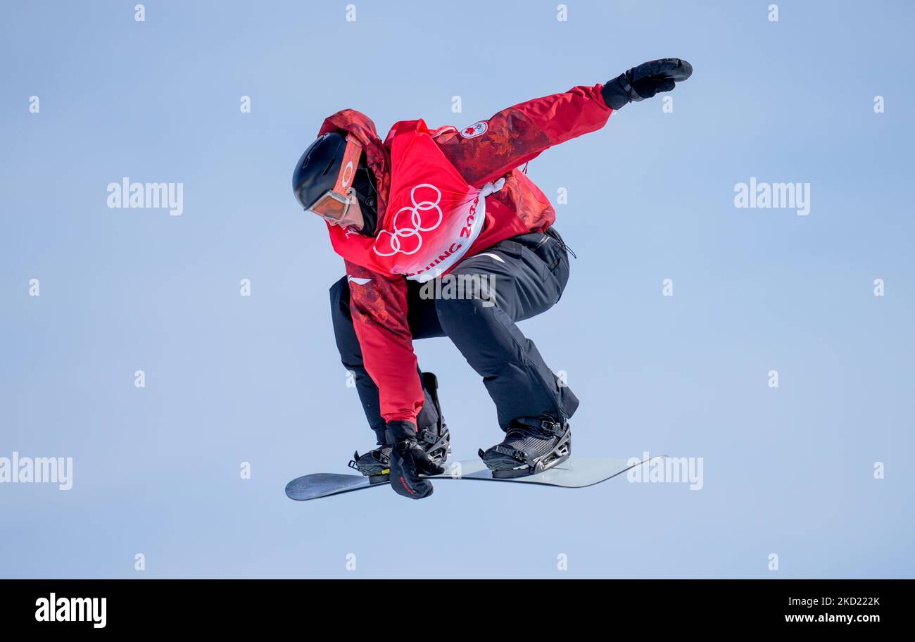 Maxtparrot hi-res stock photography and images - Alamy