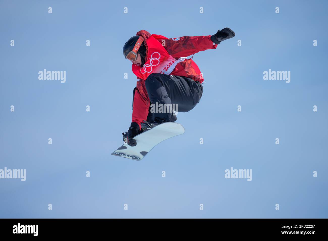 Maxtparrot hi-res stock photography and images - Alamy