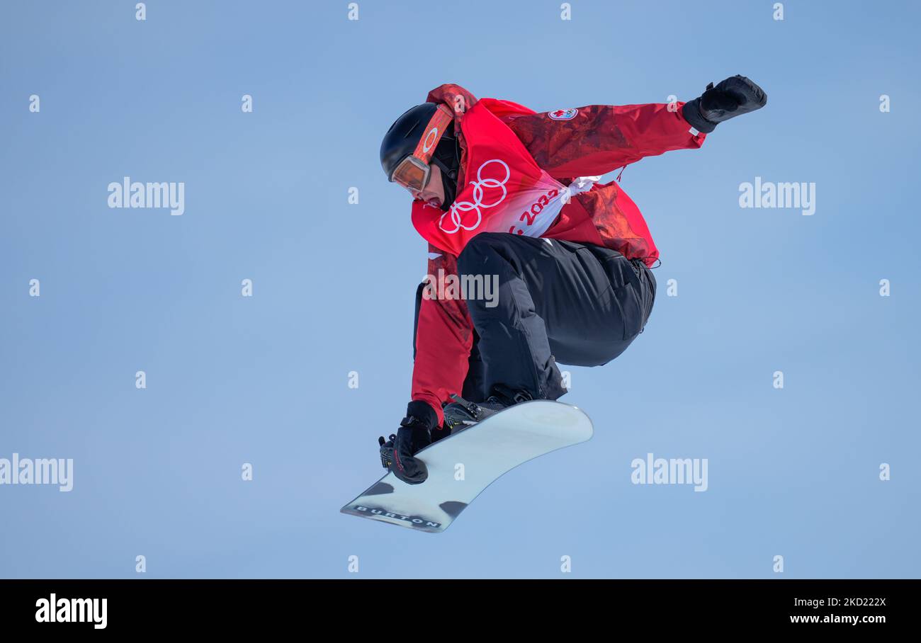 Maxtparrot hi-res stock photography and images - Alamy