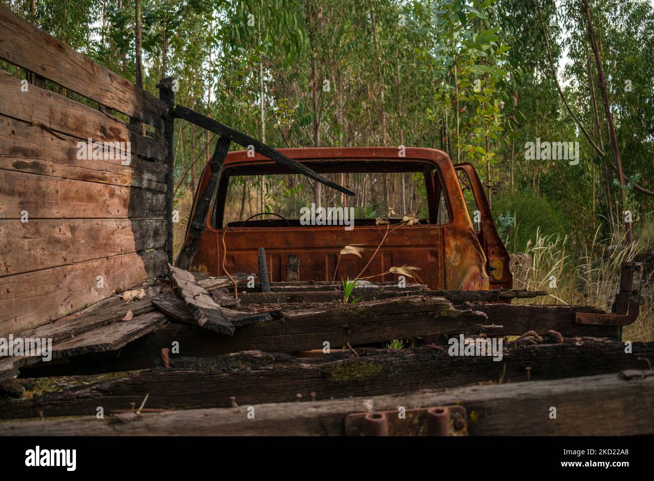 A damaged old orange car parked in the forest Stock Photo - Alamy