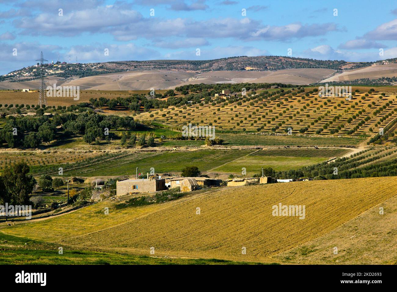Farmland with olive trees in the distance in the Rif mountains near the ...