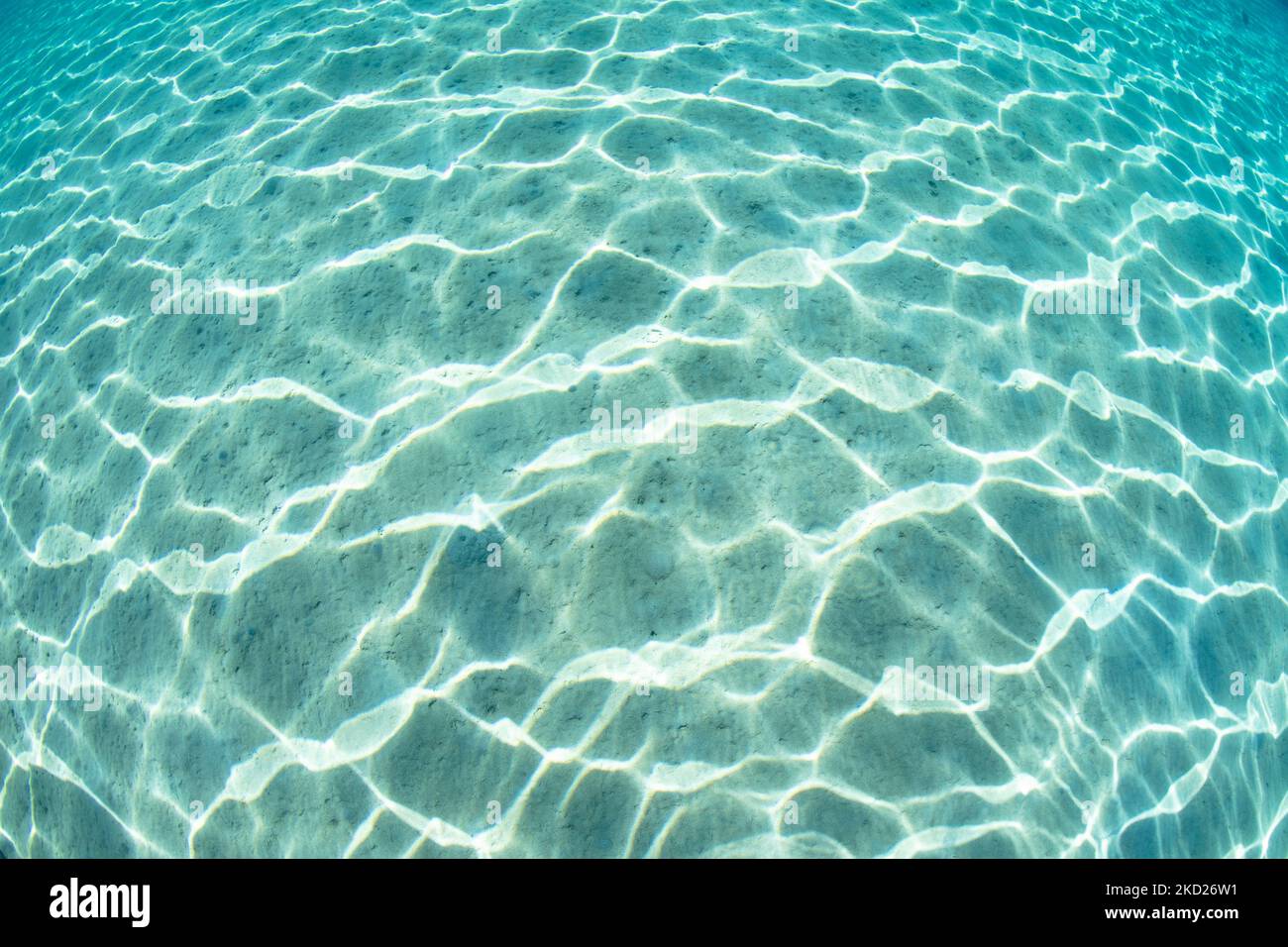 Bright sunlight dances across a shallow, sandy seafloor Stock Photo - Alamy