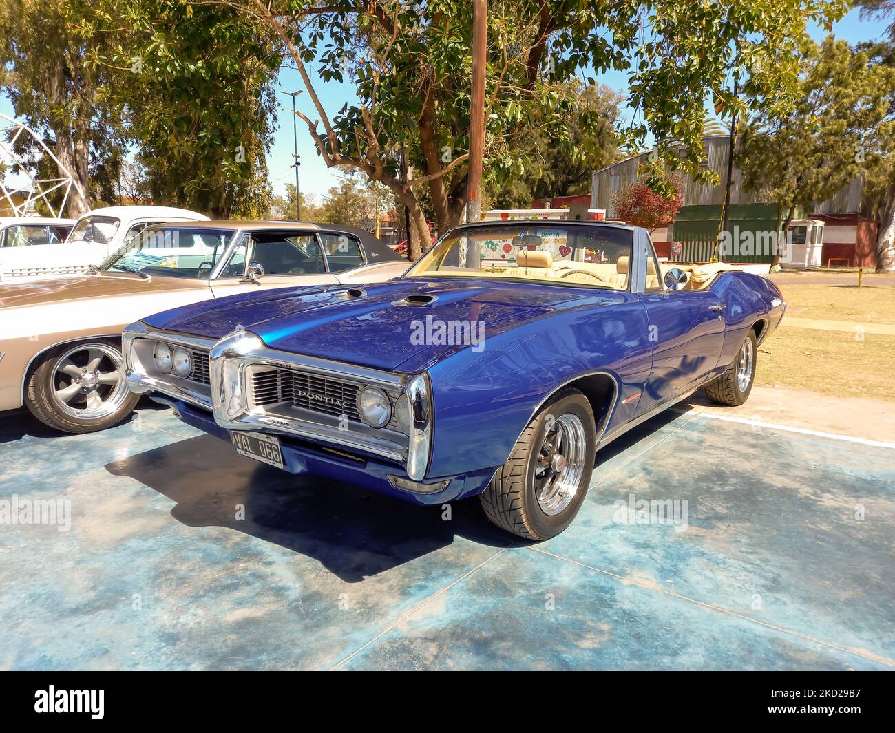 Old blue sport 1969 Pontiac GTO two door convertible in a park. Front ...
