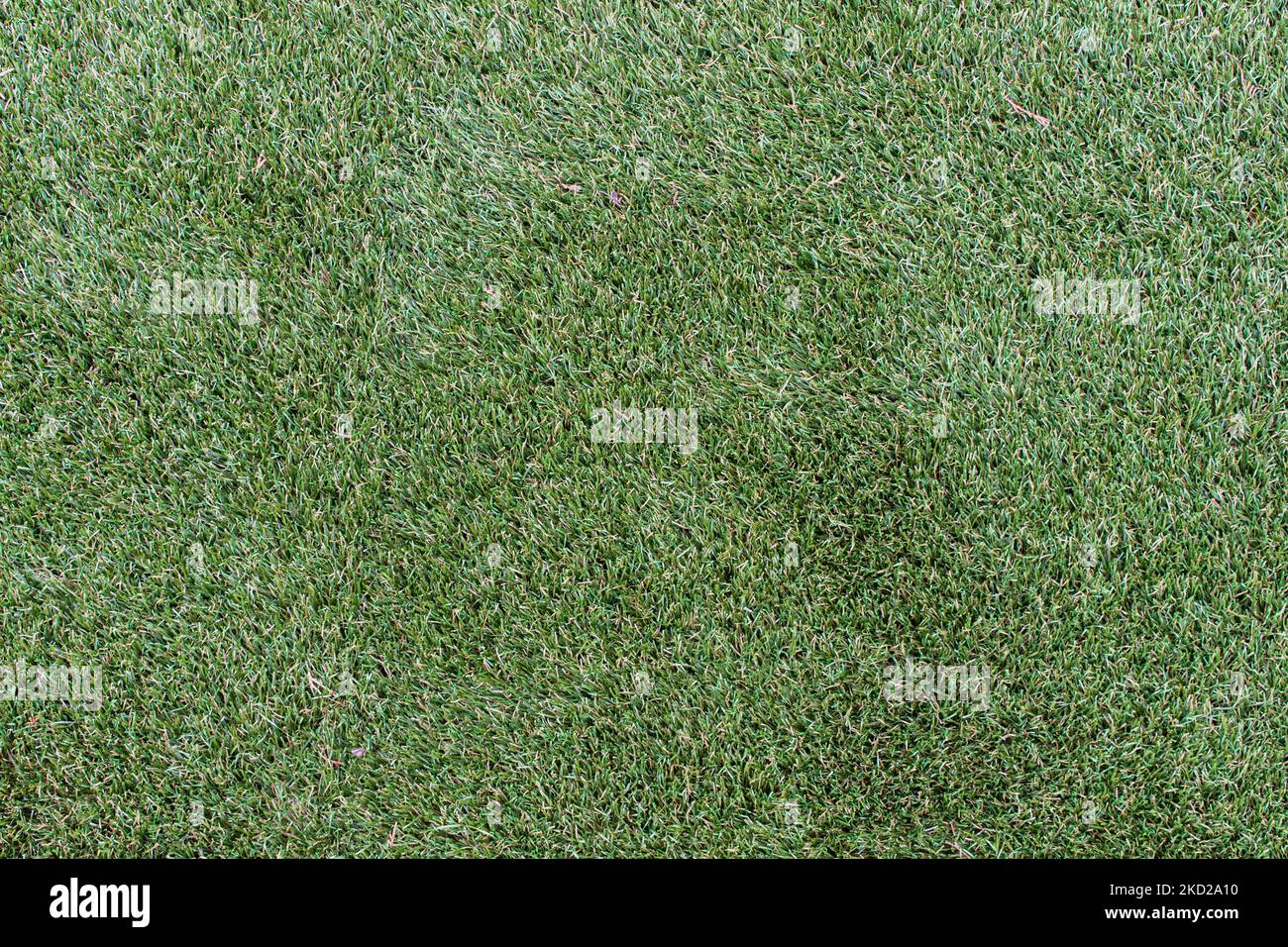 Top Down shot of a piece of Green Grass Texture Patch Stock Photo - Alamy