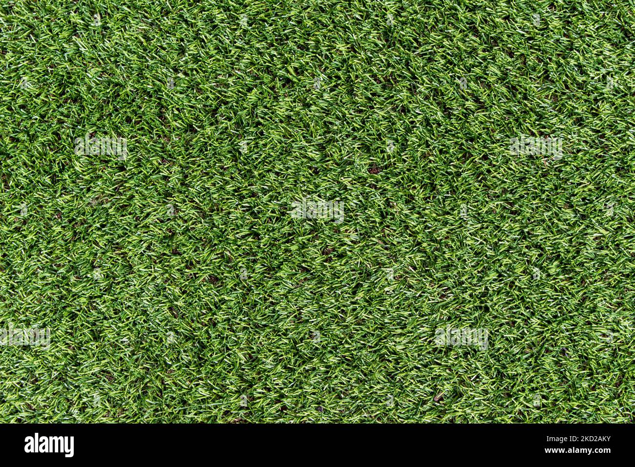 Top Down shot of a piece of Green Grass Texture Patch Stock Photo - Alamy