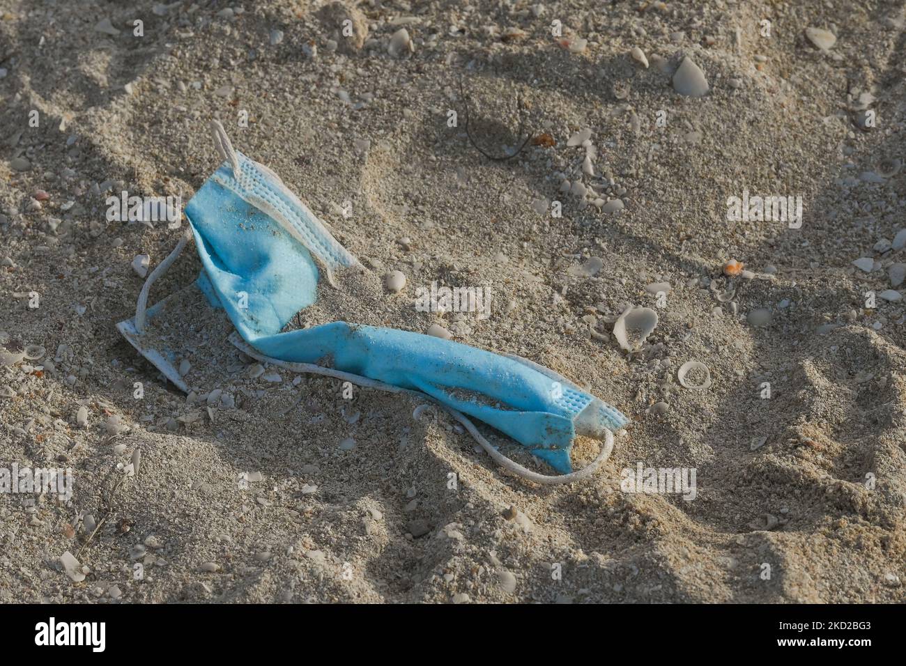 Discarded face mask lies on a beach in Progreso. On Wednesday, February ...