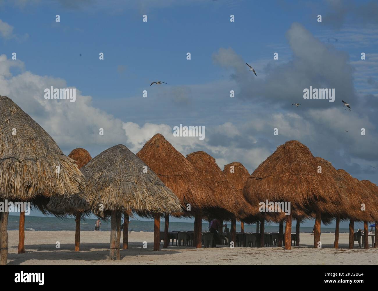 Gulf mexico beach in progreso hi-res stock photography and images - Alamy