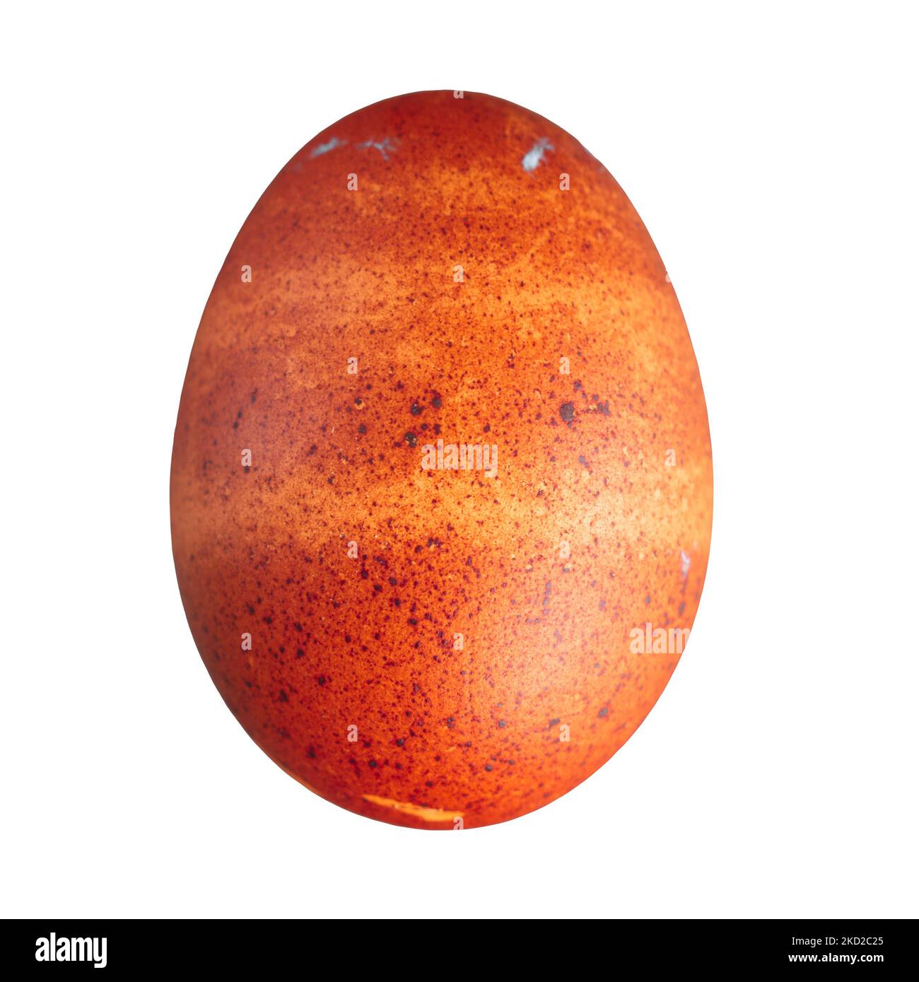 Brown Speckled Copper Maran Hen Egg On a Transparent Background: Brown ...
