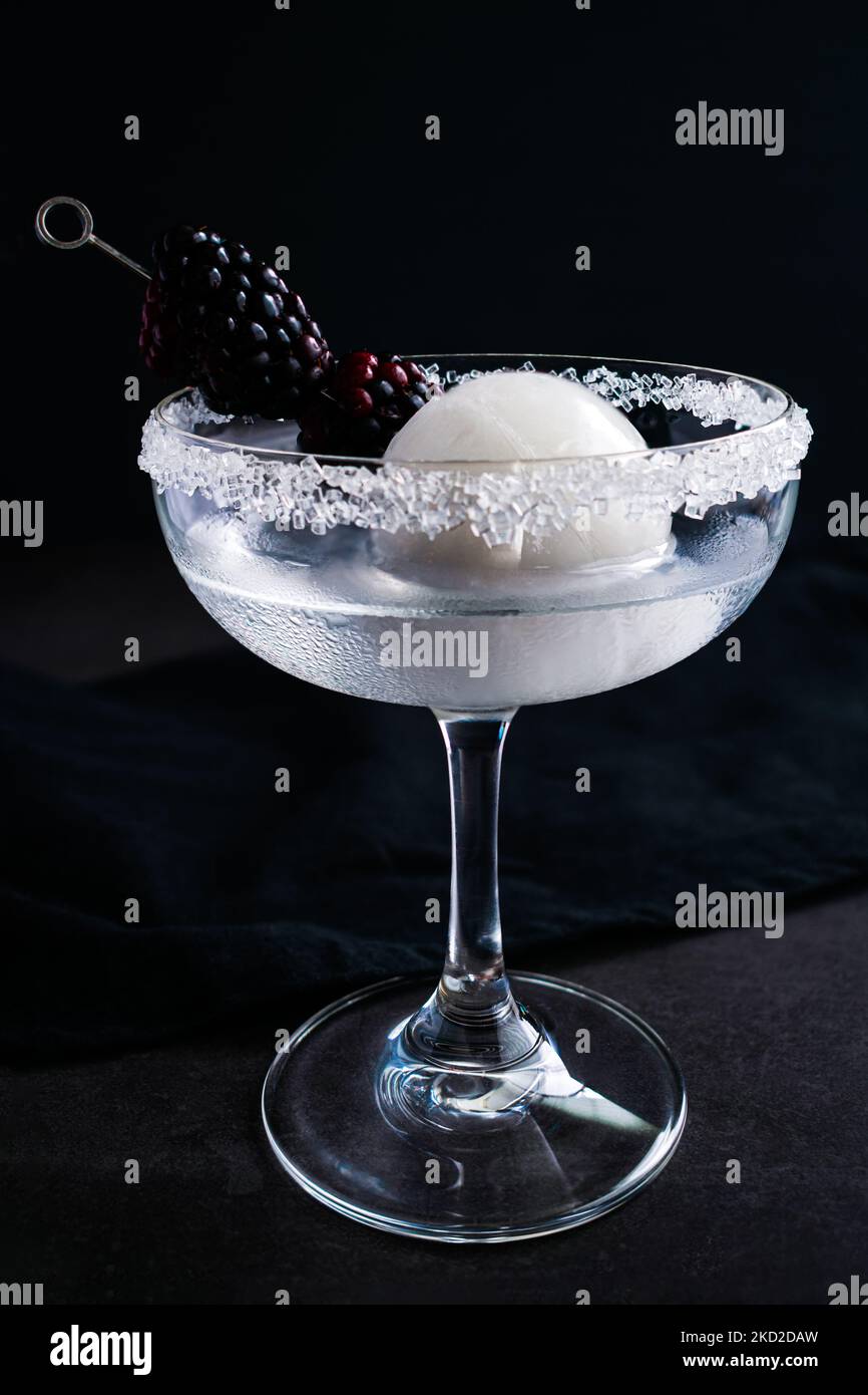Full Moon Martini with Blackberry Garnish: Vodka cocktail with an ...