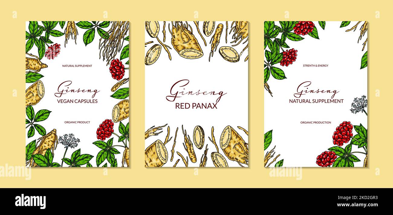 Set of ginseng colorful vertical designs. Hand drawn botanical vector ...