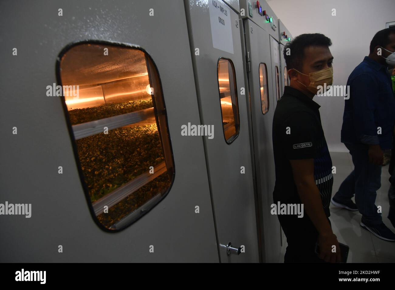 Food processing plant meeting hi-res stock photography and images - Alamy