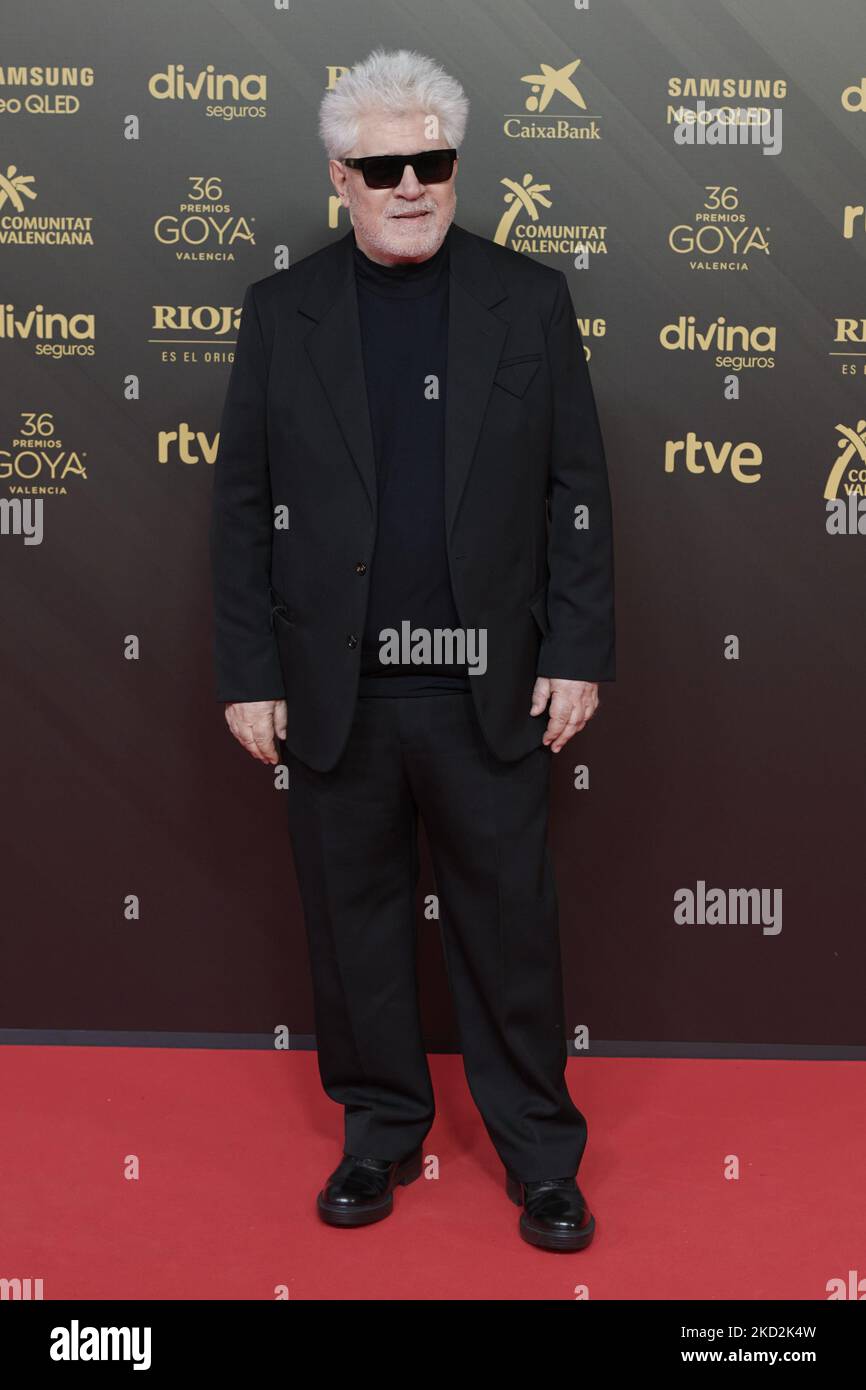 Pedro Almodovar attends the Goya cinema Awards 2022 red carpet at ...