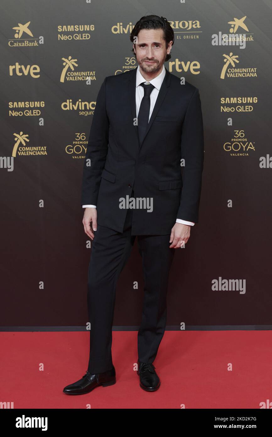 Juan Diego Botto attends the Goya cinema Awards 2022 red carpet at ...