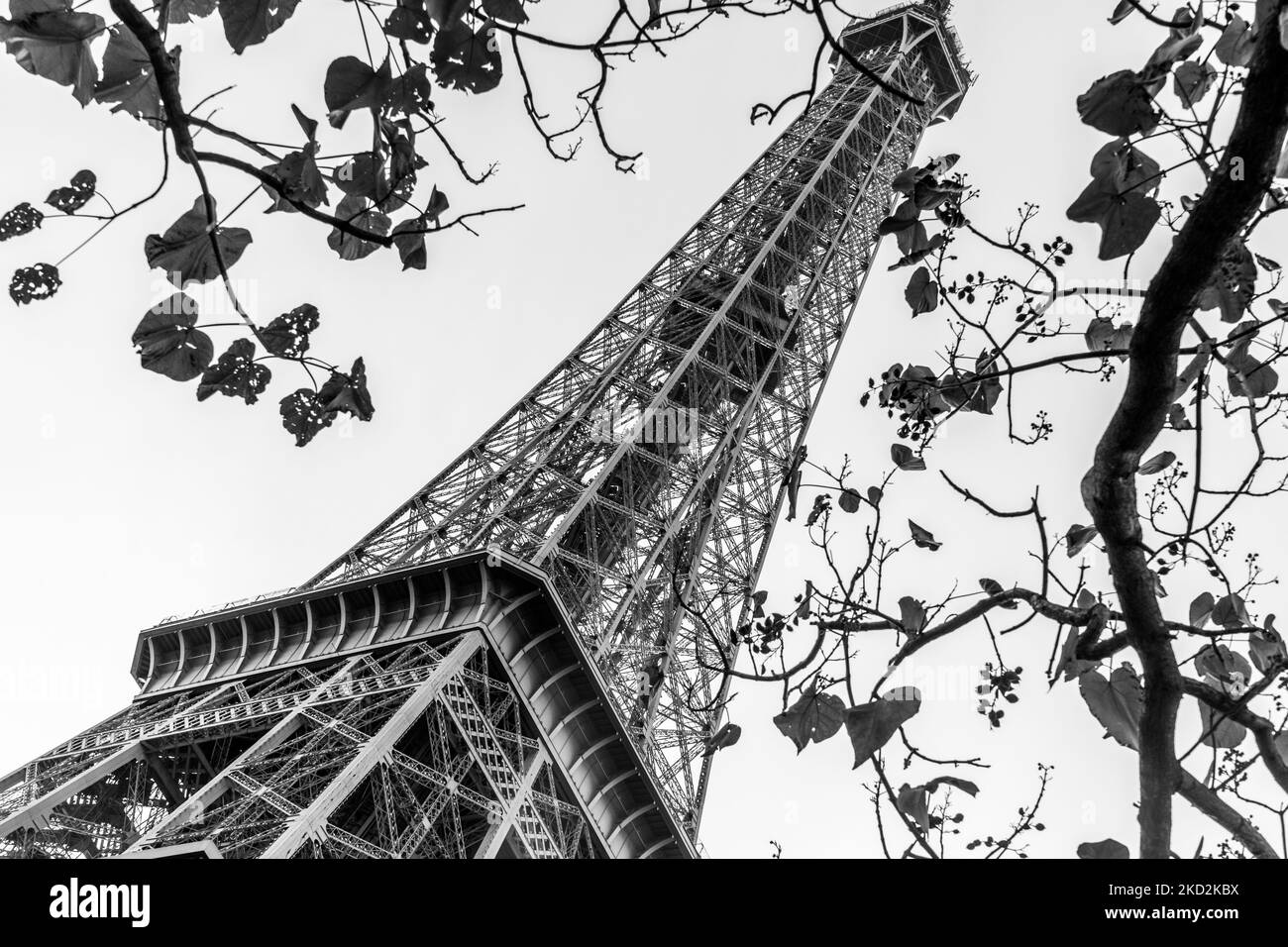 A low-angle greyscale shot of the Eiffel Tower in Paris, France Stock ...