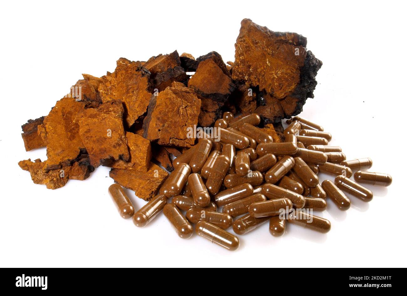Chaga Mushroom with Capsules isolated on white Background - Healthy ...