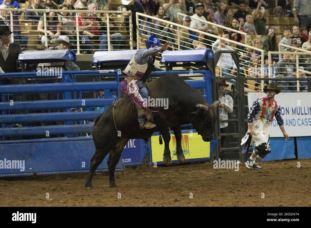 Logan barfield hi-res stock photography and images - Alamy