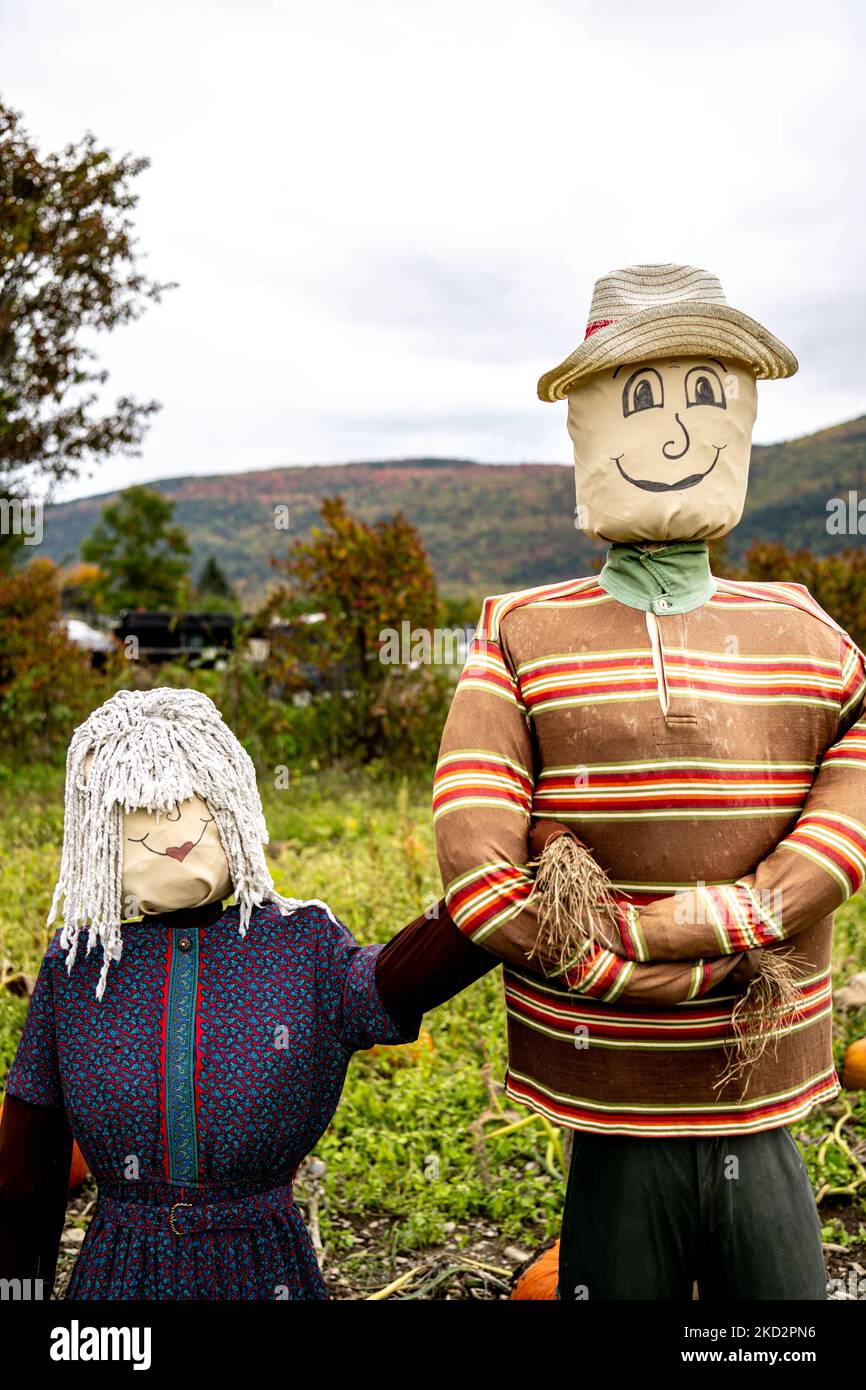 A beautiful shot of two scarecrows for the Halloween season Stock Photo ...