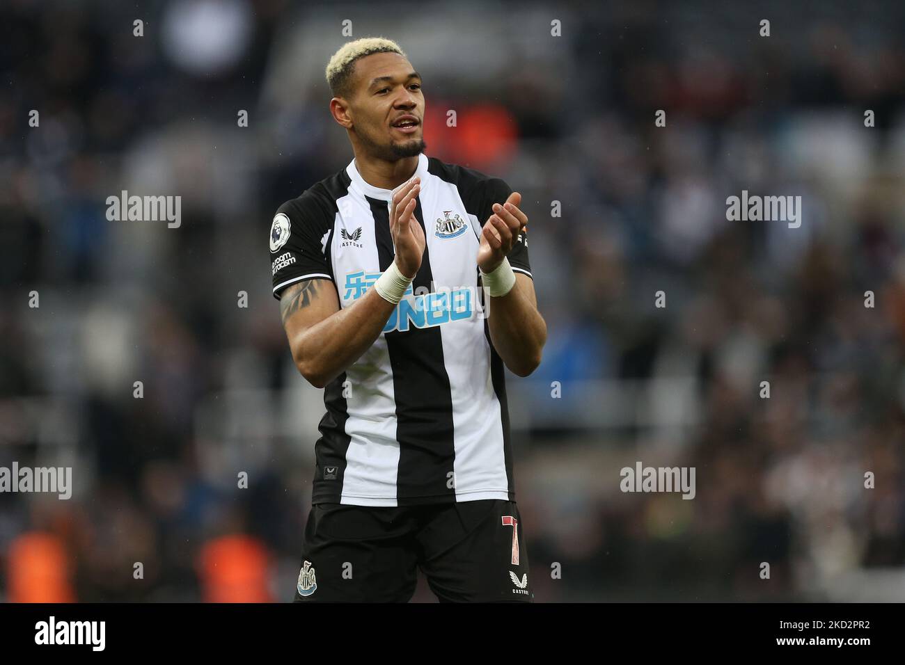 Joelinton of Newcastle United during the Premier League match between ...