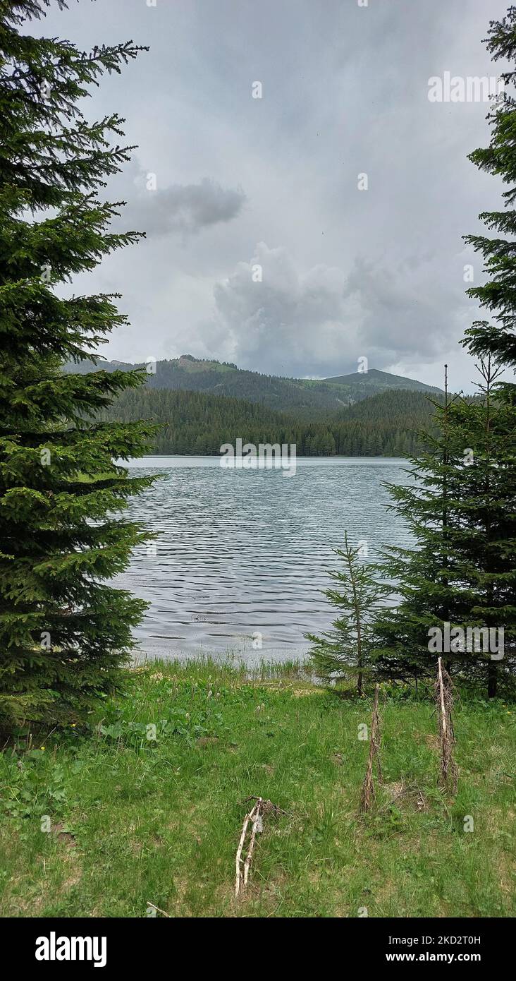 Timothy lake hi-res stock photography and images - Alamy