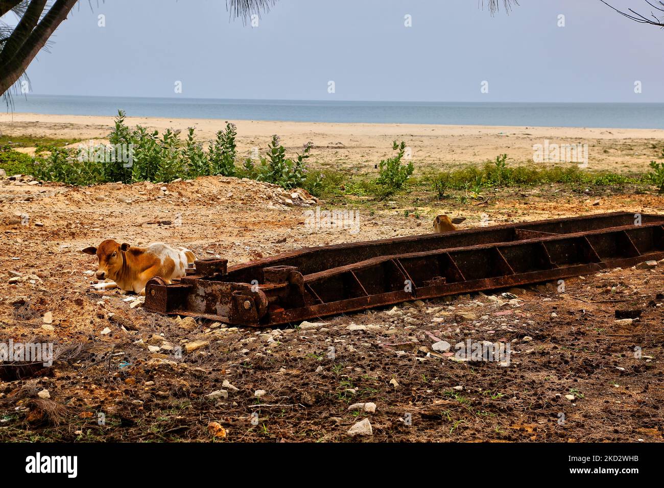 Mulative Ltte Attack