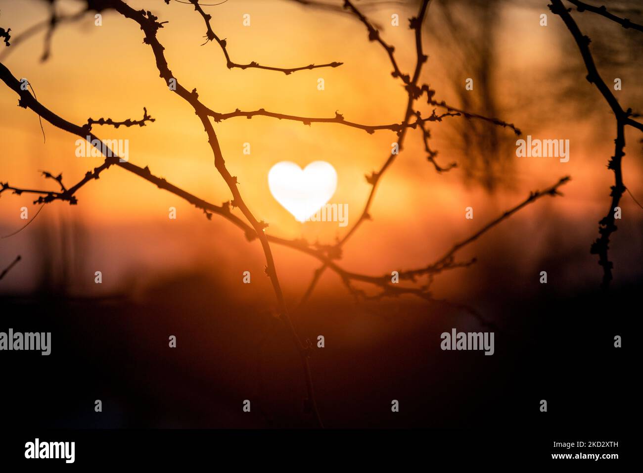 A scenic shot of the sunset sky with a heart-shaped sun Stock Photo - Alamy