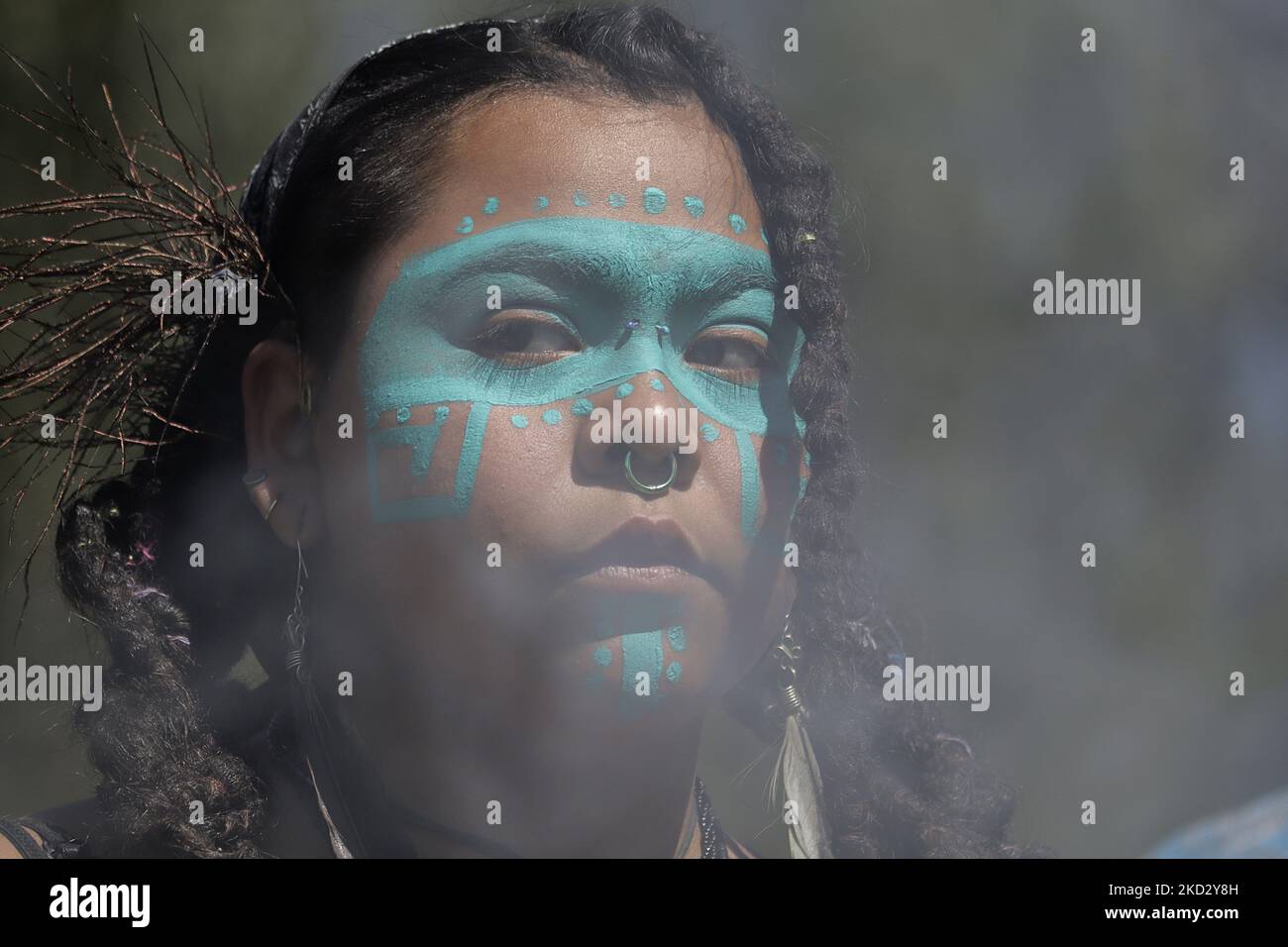 Axolotls salamanders hi-res stock photography and images - Alamy