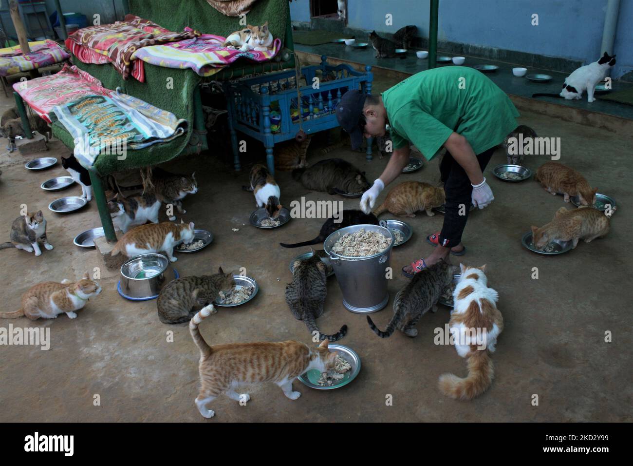 Caretaker elderly india hi-res stock photography and images - Alamy