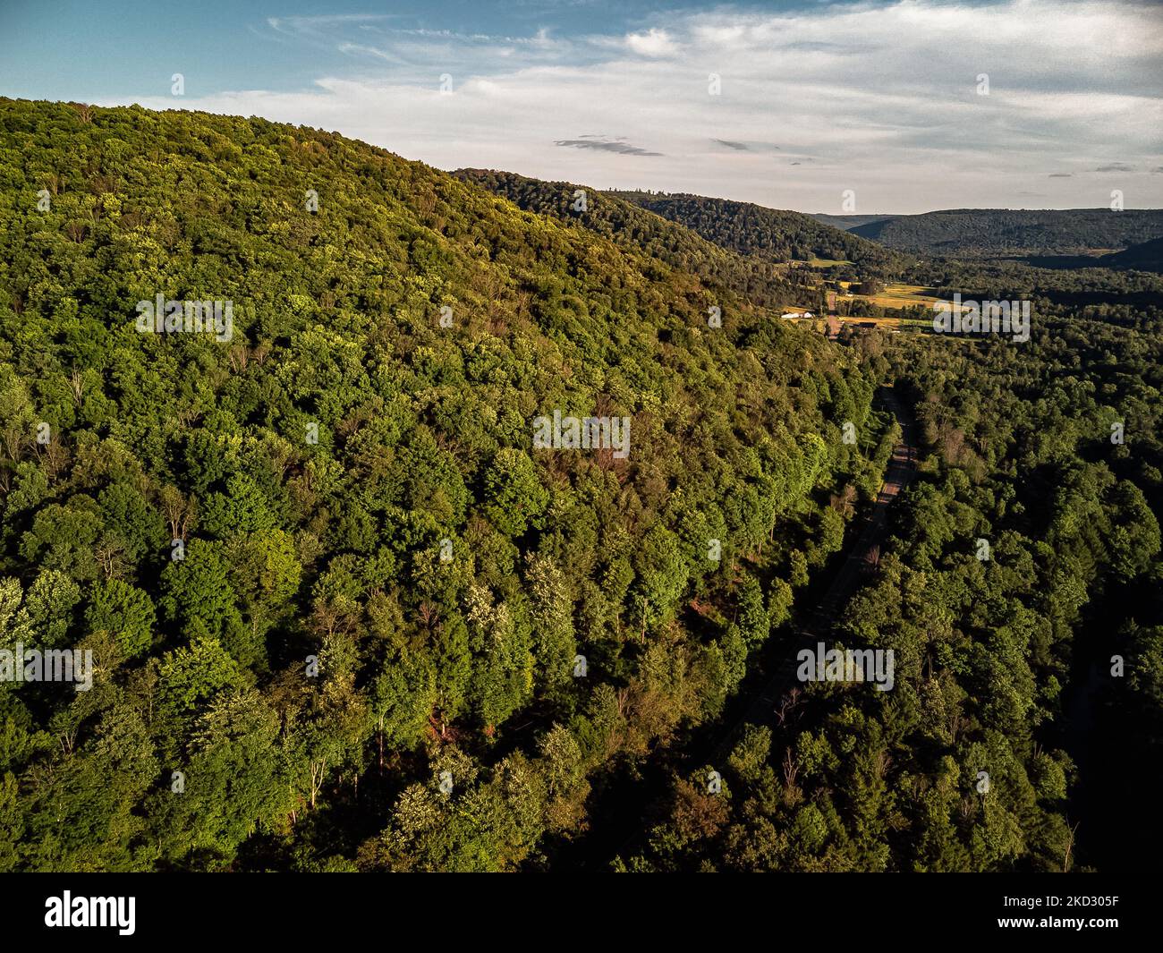 An aerial view of a green forested hillside Stock Photo - Alamy