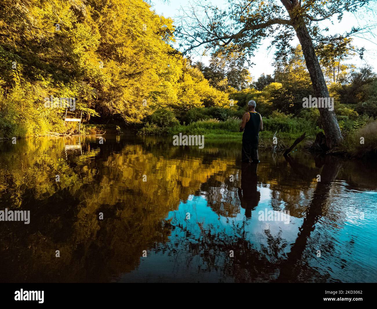 A man wading in the pond in the green forest and fishing at soft ...