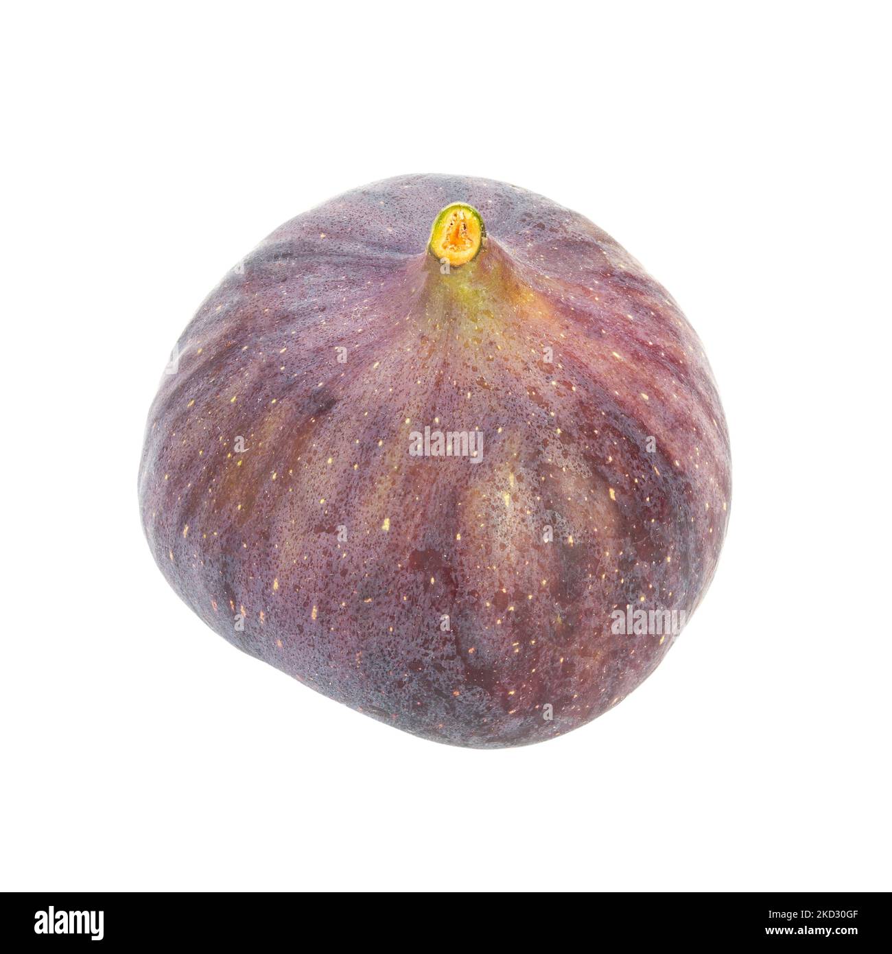 Fresh fig. Fruit isolated on white background. File contains clipping ...