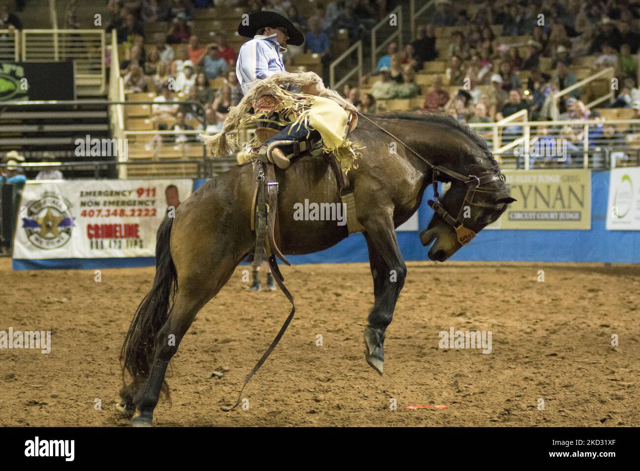 Kade Bruno of Challis, Idaho, USA competes in the Saddle Bronc event at ...