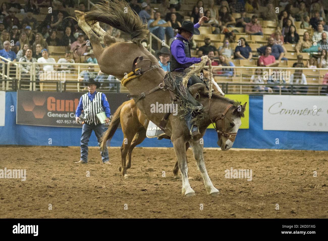 Jarrod Hammons of Stephanville, Texas, USA competes in the Saddle Bronc ...
