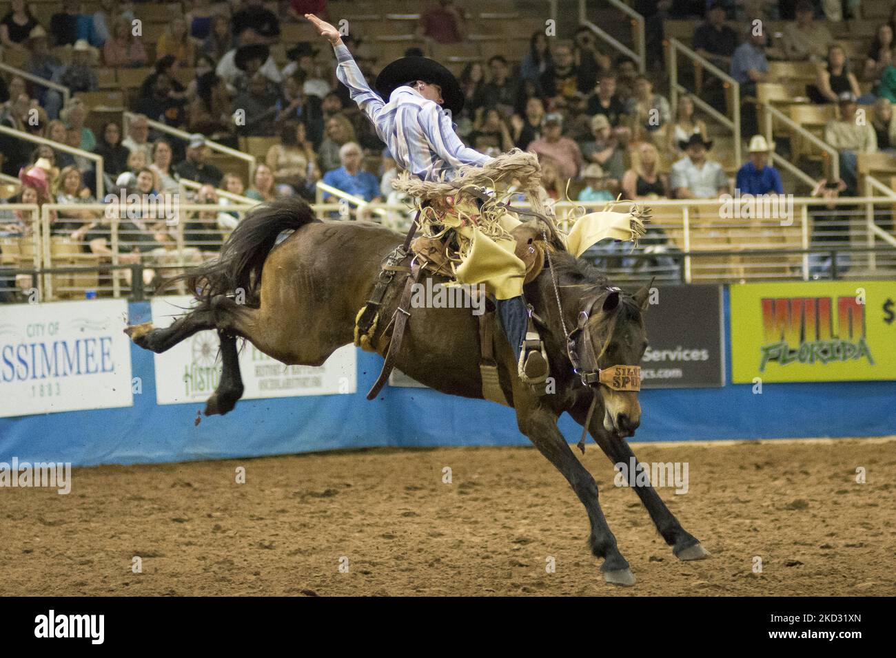 Kade Bruno of Challis, Idaho, USA competes in the Saddle Bronc event at ...