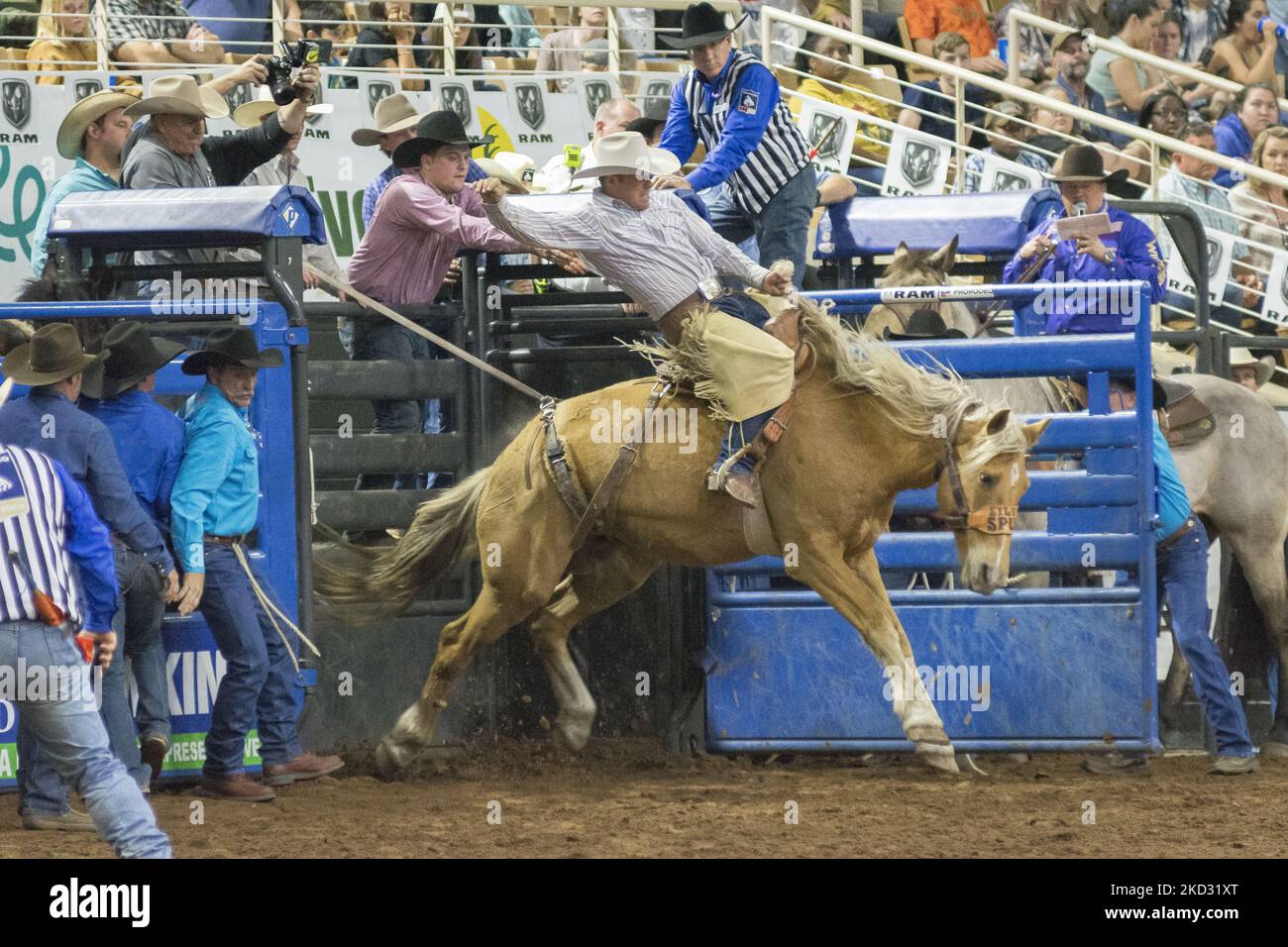 Luke Hogan of Winnemucca, Nevada, USA claunches from the bucking chute ...