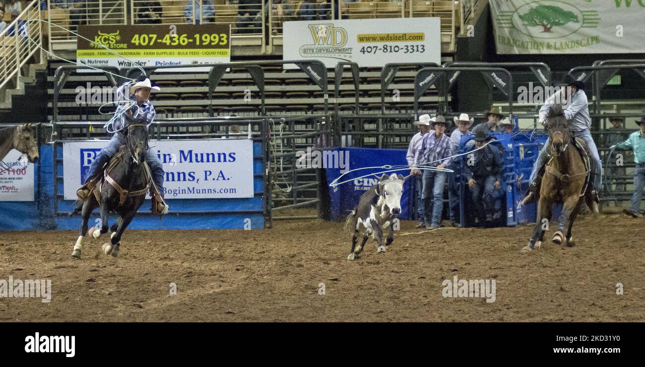 Silver Spurs Rodeo, Kissimmee, Florida USA - in the team roping event ...