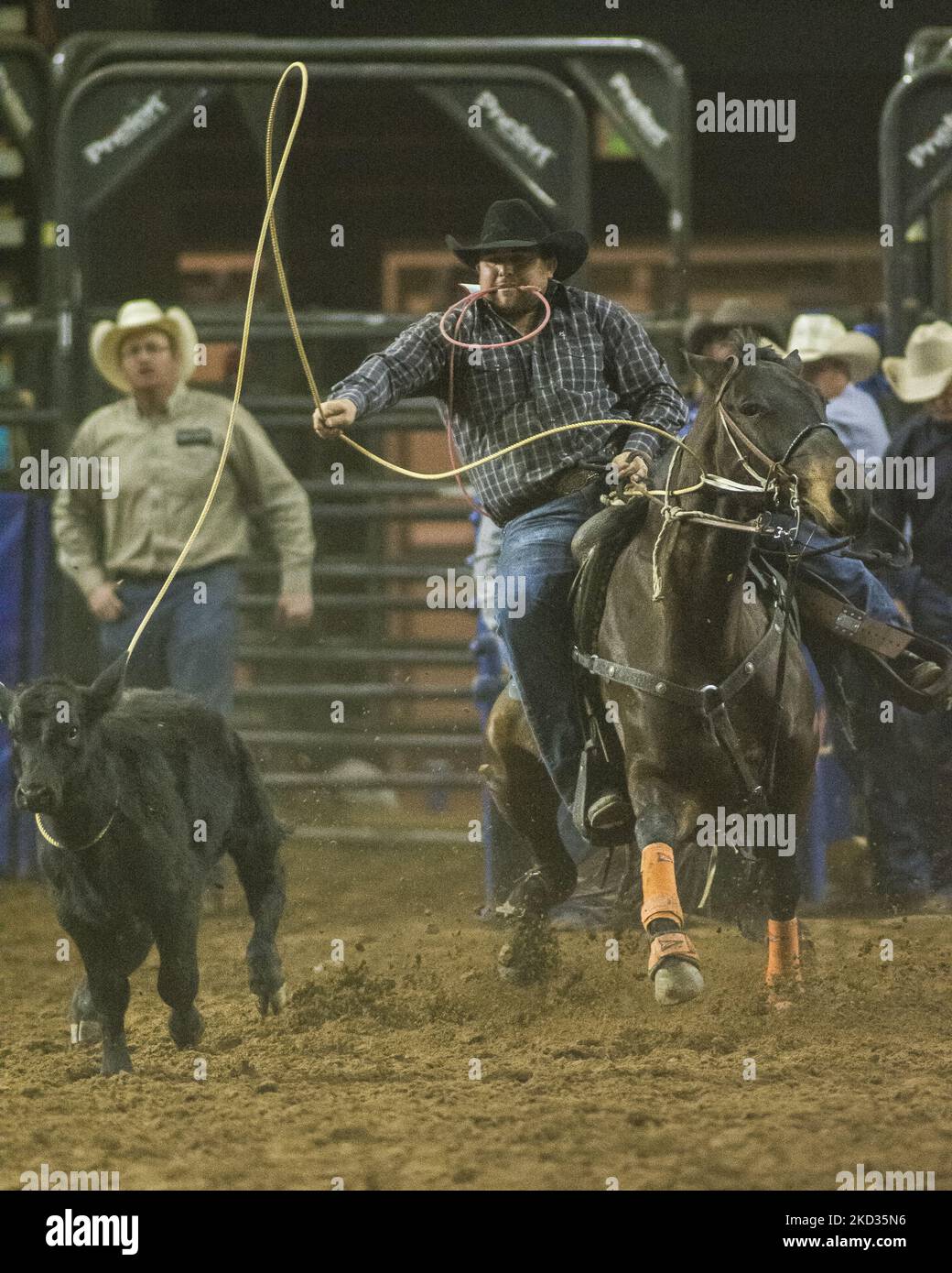 Marcus theriot hi-res stock photography and images - Alamy