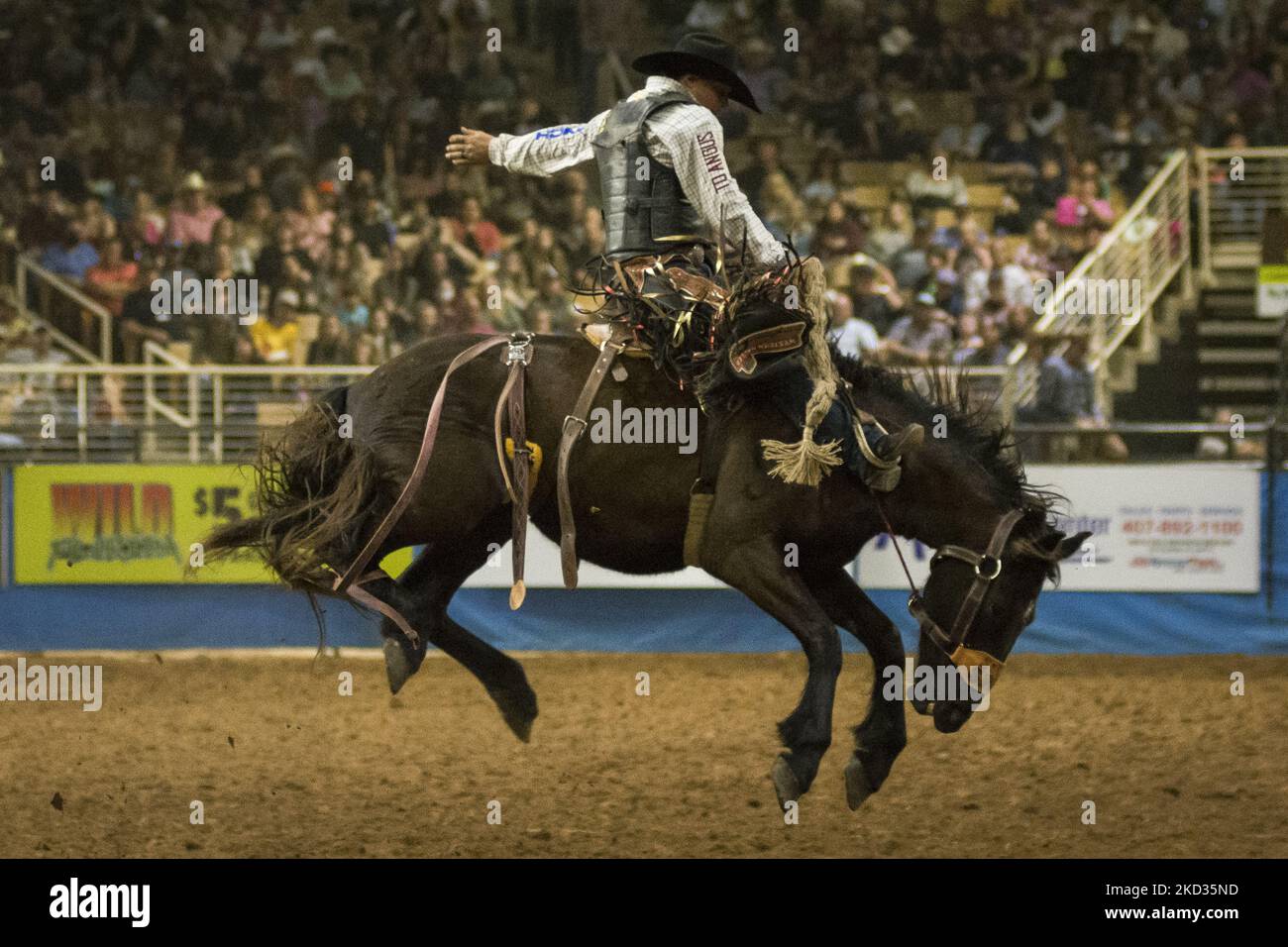 Wyatt casper hi-res stock photography and images - Alamy