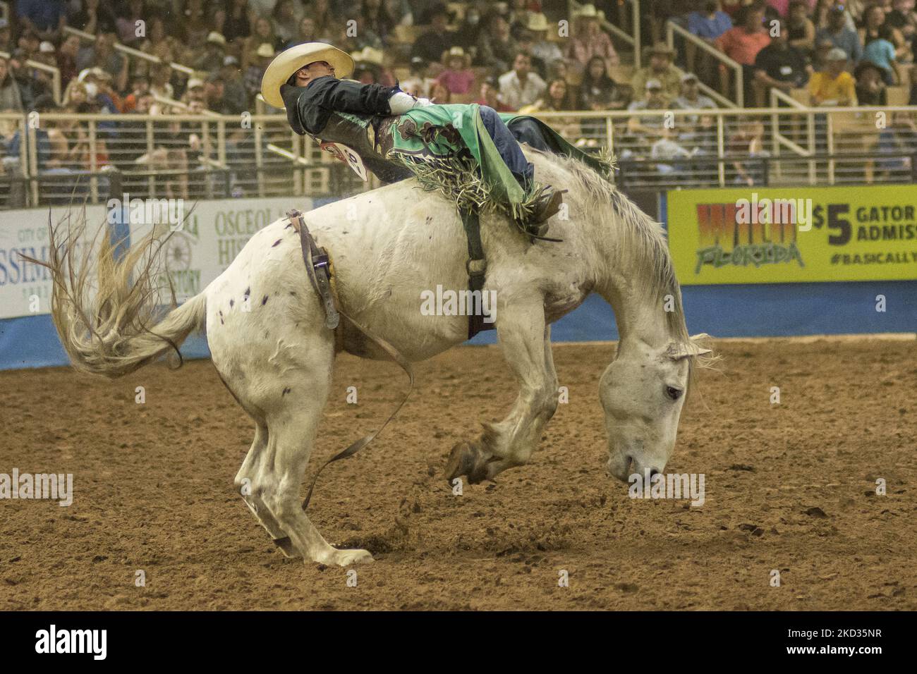 Carl bernier hi-res stock photography and images - Alamy