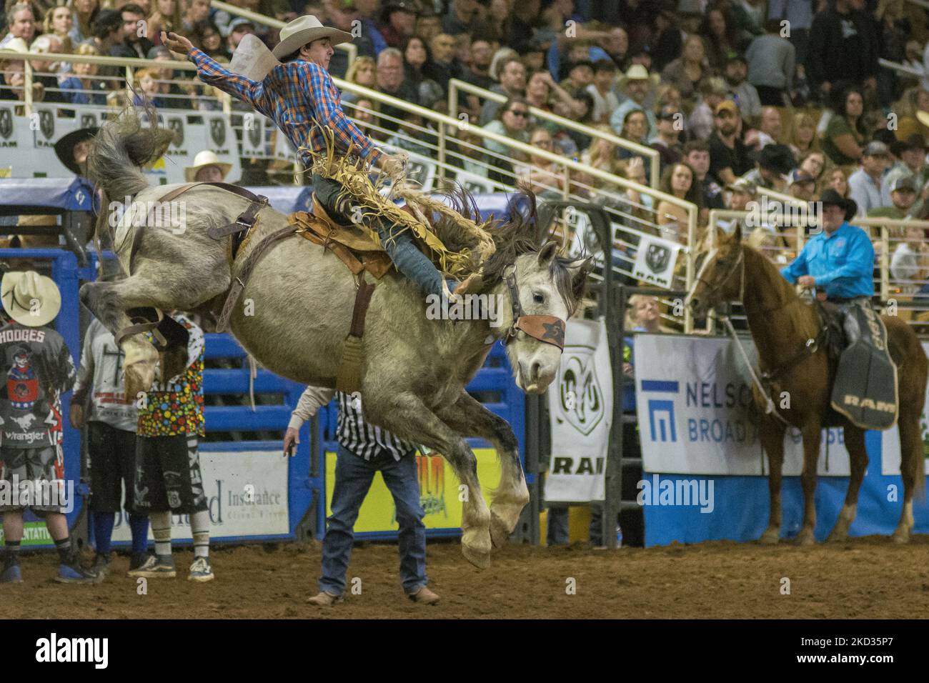 a cowboy rides in the saddle bronc competition on the second day of the ...