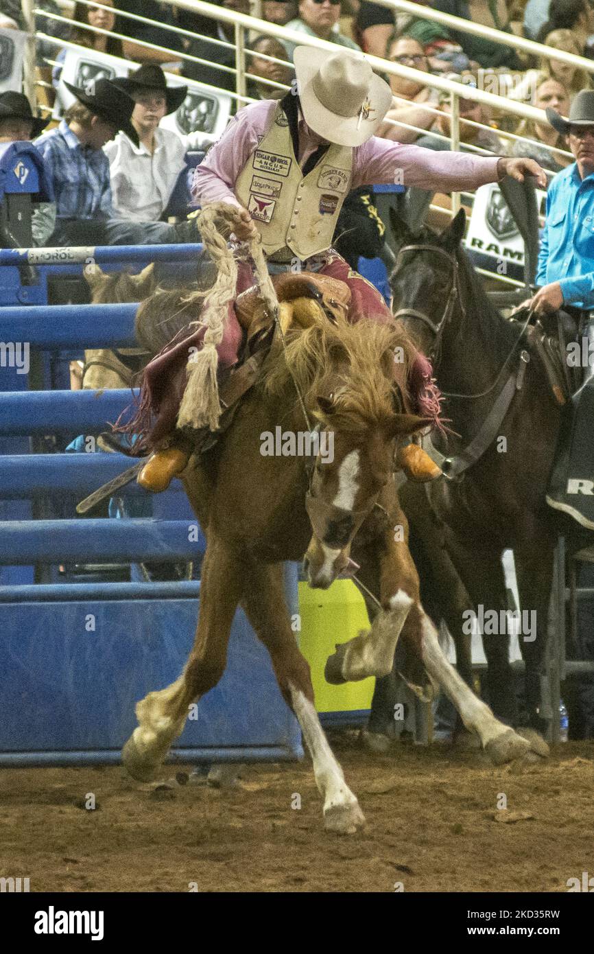 Cole Elshere of Faith, South Dakota, USA rides in the saddle bronc ...