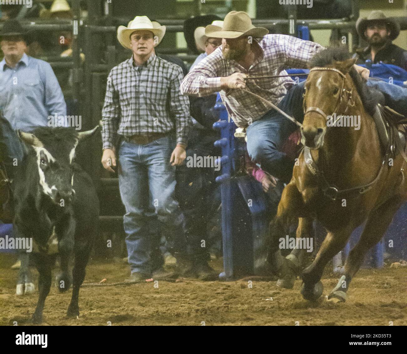 Cord spradley hi-res stock photography and images - Alamy