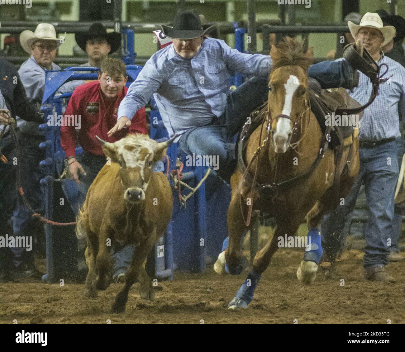 Matt wilson hi-res stock photography and images - Alamy