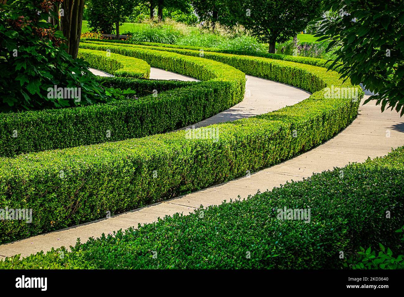 Concentric circles of paved walkway separated with hedges and edged ...