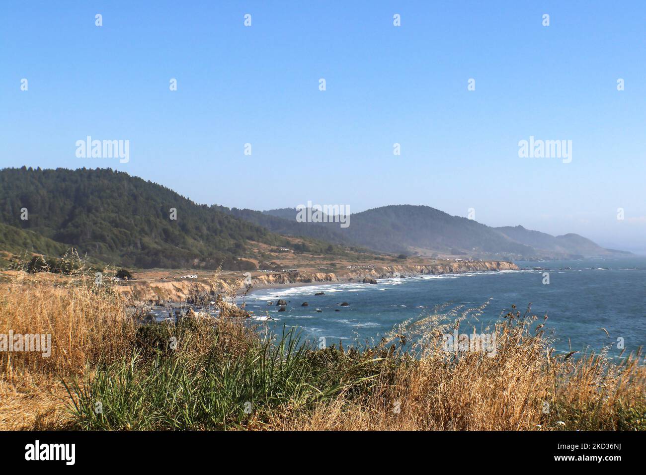 Northern California Coastline bay With Fog and wild grasses looking out ...
