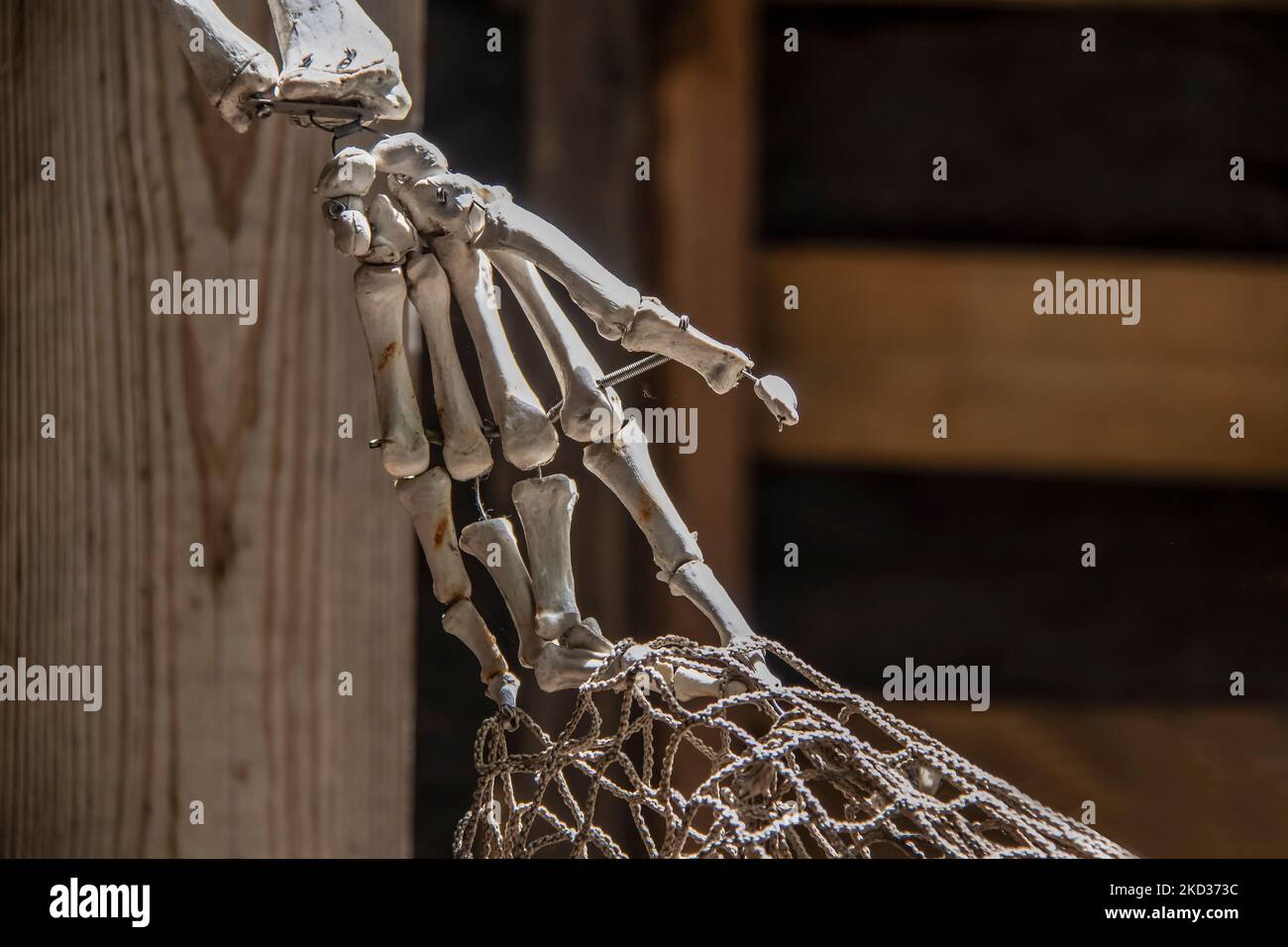Dead pirates hand - old and dusty fake skeleton hand tangled in fishing ...