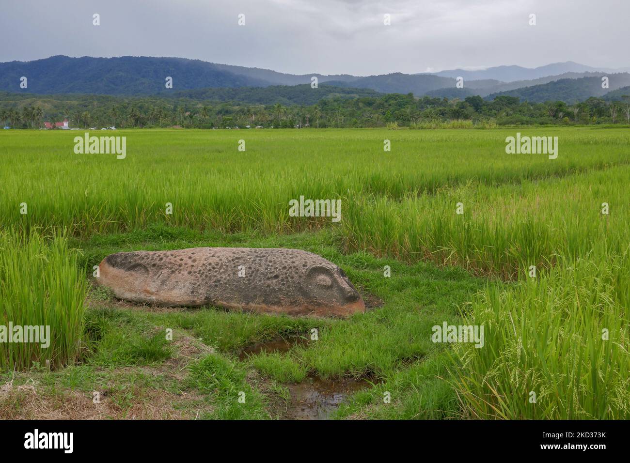 Landscape view of mysterious ancient megalith know as Baula in Lore ...